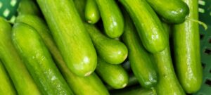 Es ist Sauregurkenzeit - bbkult.net